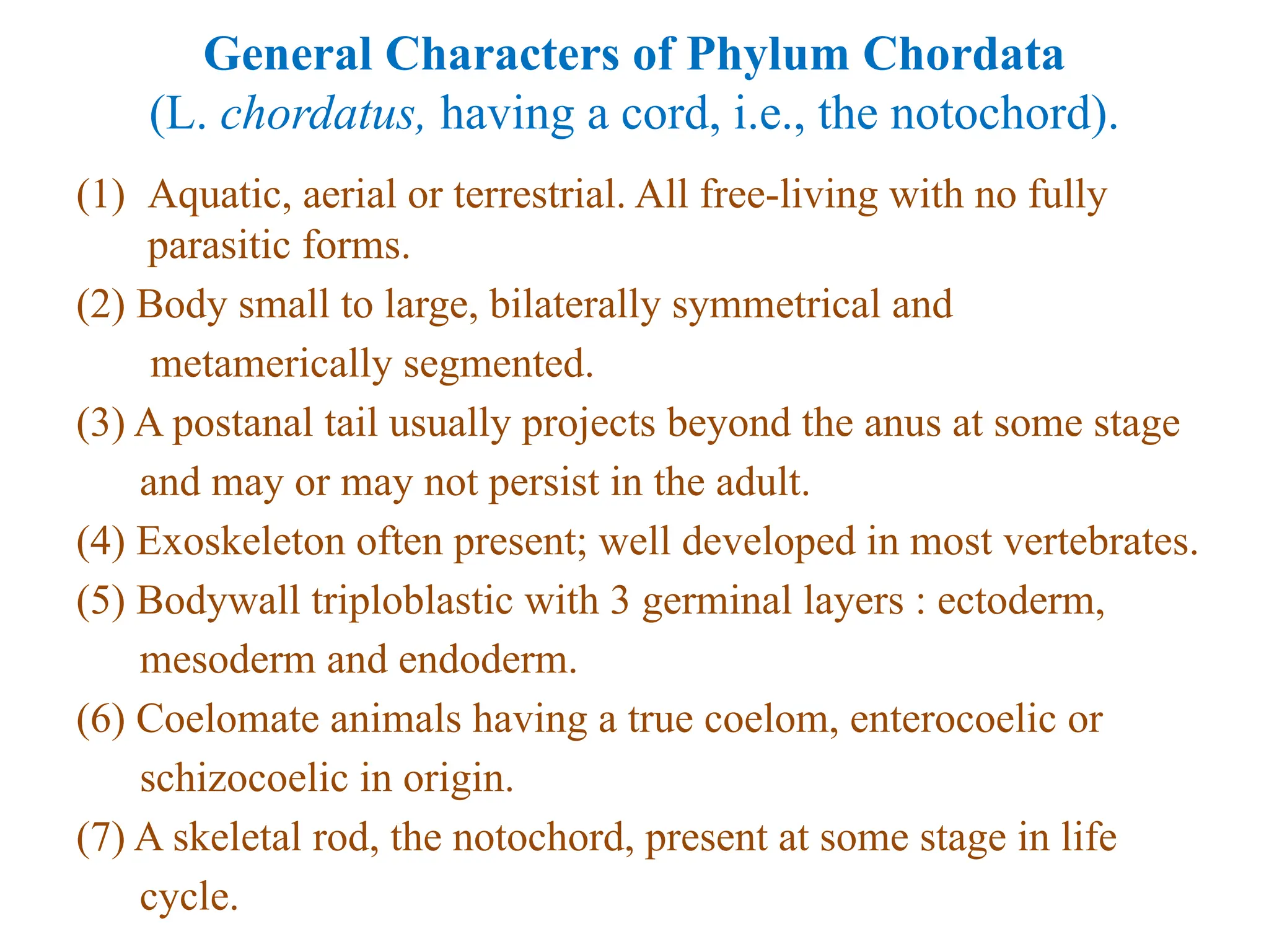 Phylum chordates pptx free to use for students | PPTX
