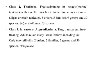 Phylum chordates pptx free to use for students | PPT