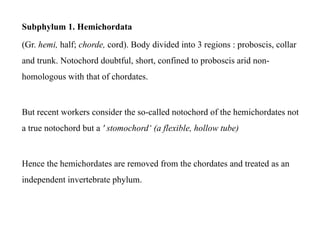 Phylum chordates pptx free to use for students | PPT