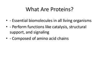Basics of Protein structure in bioinformatics | PPT