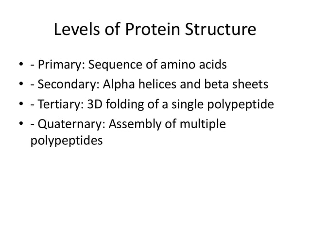 Basics of Protein structure in bioinformatics | PPT