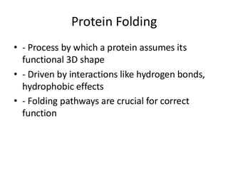 Basics of Protein structure in bioinformatics | PPT