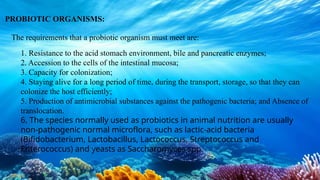 Probiotic bacteria and their importance in aquaculture | PPTX
