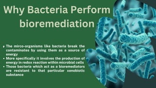 Bioremediation it's types and Mechanism. | PDF