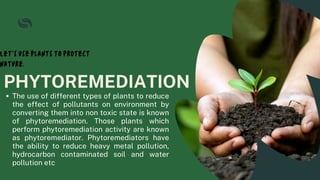 Bioremediation it's types and Mechanism. | PDF