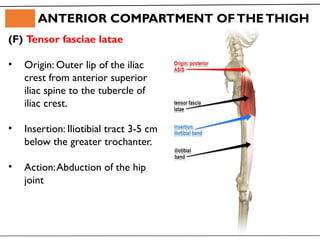 Compartment of the tight explicit explanation | PPTX
