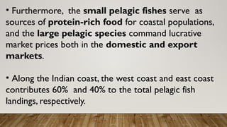 Overview of Indian pelagic fisheries(2019-2023) | PPTX