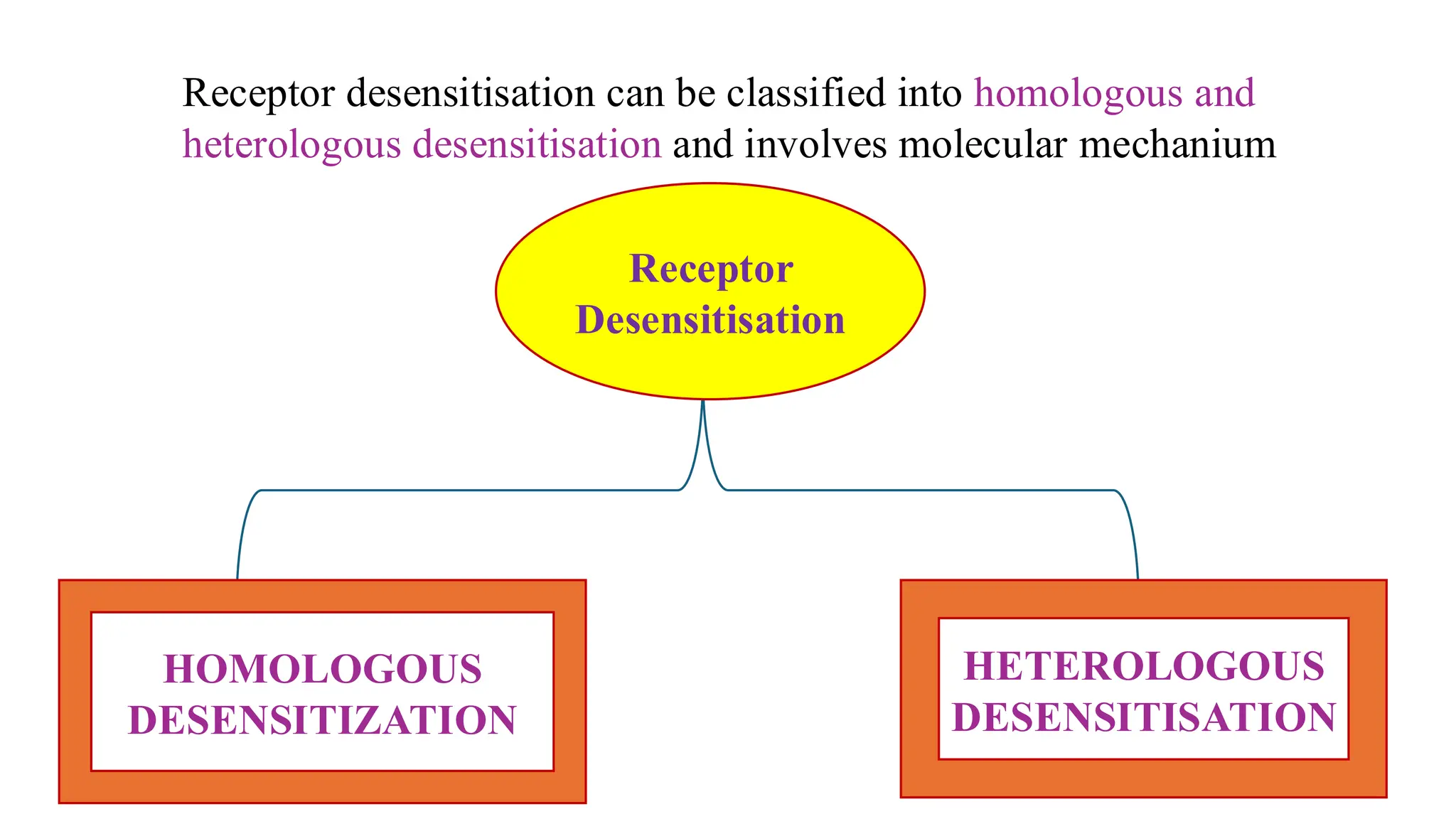RECEPTOR DESENSITISATION, TYPES, MECHANISM, EXAMPLE | PDF