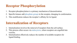 RECEPTOR DESENSITISATION, TYPES, MECHANISM, EXAMPLE | PDF