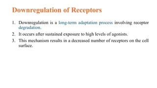 RECEPTOR DESENSITISATION, TYPES, MECHANISM, EXAMPLE | PDF