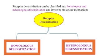 RECEPTOR DESENSITISATION, TYPES, MECHANISM, EXAMPLE | PDF