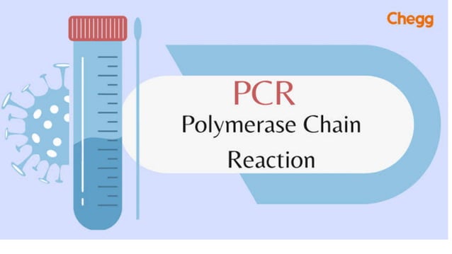 Polymerase Chain Reaction Presentation PPT. | PPT