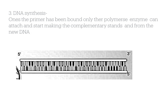 Polymerase Chain Reaction Presentation PPT. | PPT