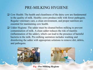 INTRODUCTION TO DAIRY MICROBIOLOGY MILK PRODUCTION AND HYGIENE | PDF
