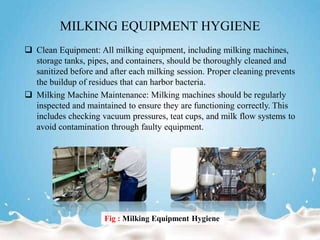 INTRODUCTION TO DAIRY MICROBIOLOGY MILK PRODUCTION AND HYGIENE | PDF