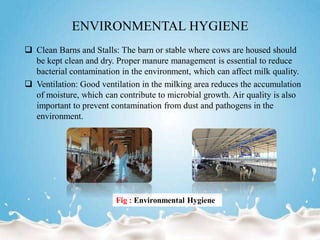 INTRODUCTION TO DAIRY MICROBIOLOGY MILK PRODUCTION AND HYGIENE | PDF