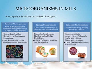 INTRODUCTION TO DAIRY MICROBIOLOGY MILK PRODUCTION AND HYGIENE | PDF