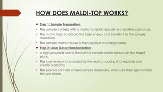 MALDI-TOF (Matrix Assisted Laser Desorption Ionization Time Of Flight | PPT