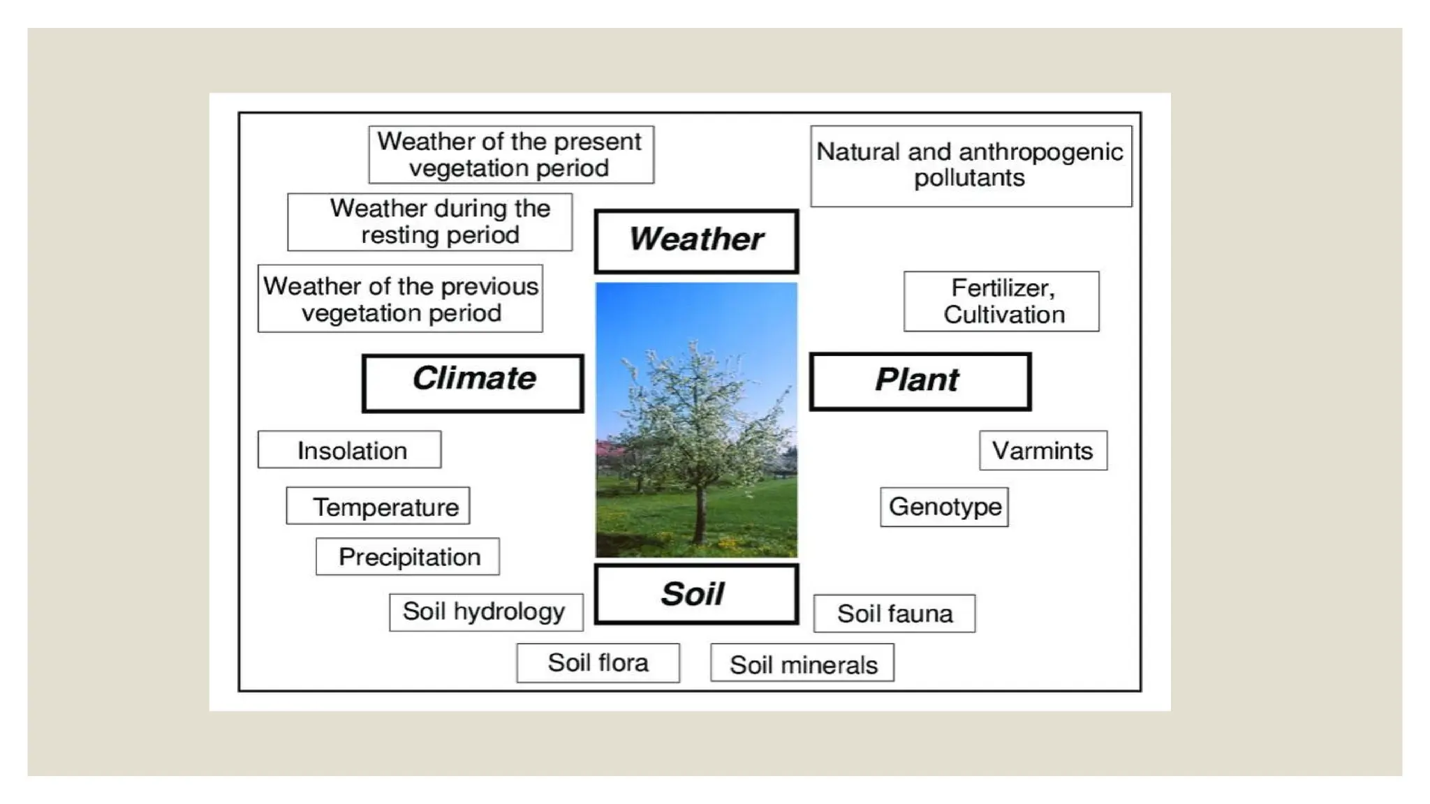 Lithosphere- environmental microbiology/ ppt | PPTX