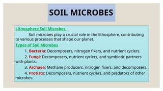 Lithosphere- environmental microbiology/ ppt | PPTX