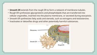 The structure and function of a cell, and it's organelles. | PPTX
