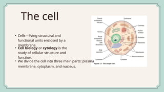 The structure and function of a cell, and it's organelles. | PPTX