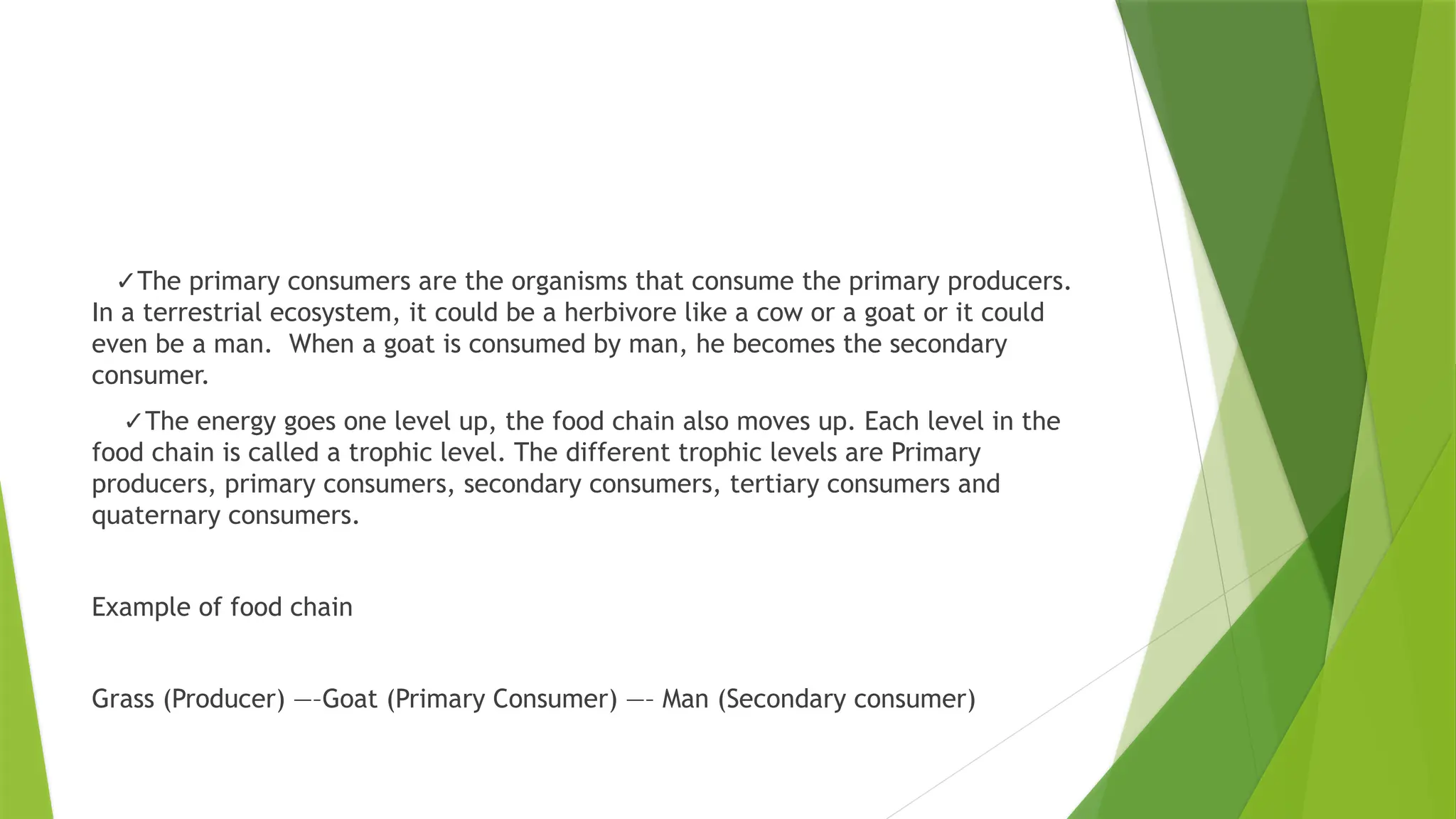 (Environmental Microbiology) Food chain and Food web | PPTX