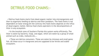 (Environmental Microbiology) Food chain and Food web | PPTX