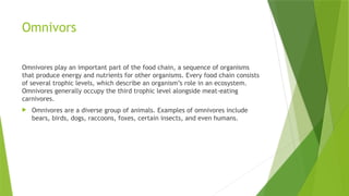 (Environmental Microbiology)Food chain and Food web | PPTX