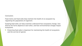 (Environmental Microbiology)Food chain and Food web | PPTX