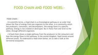 (Environmental Microbiology)Food chain and Food web | PPTX
