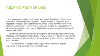 (Environmental Microbiology)Food chain and Food web | PPTX