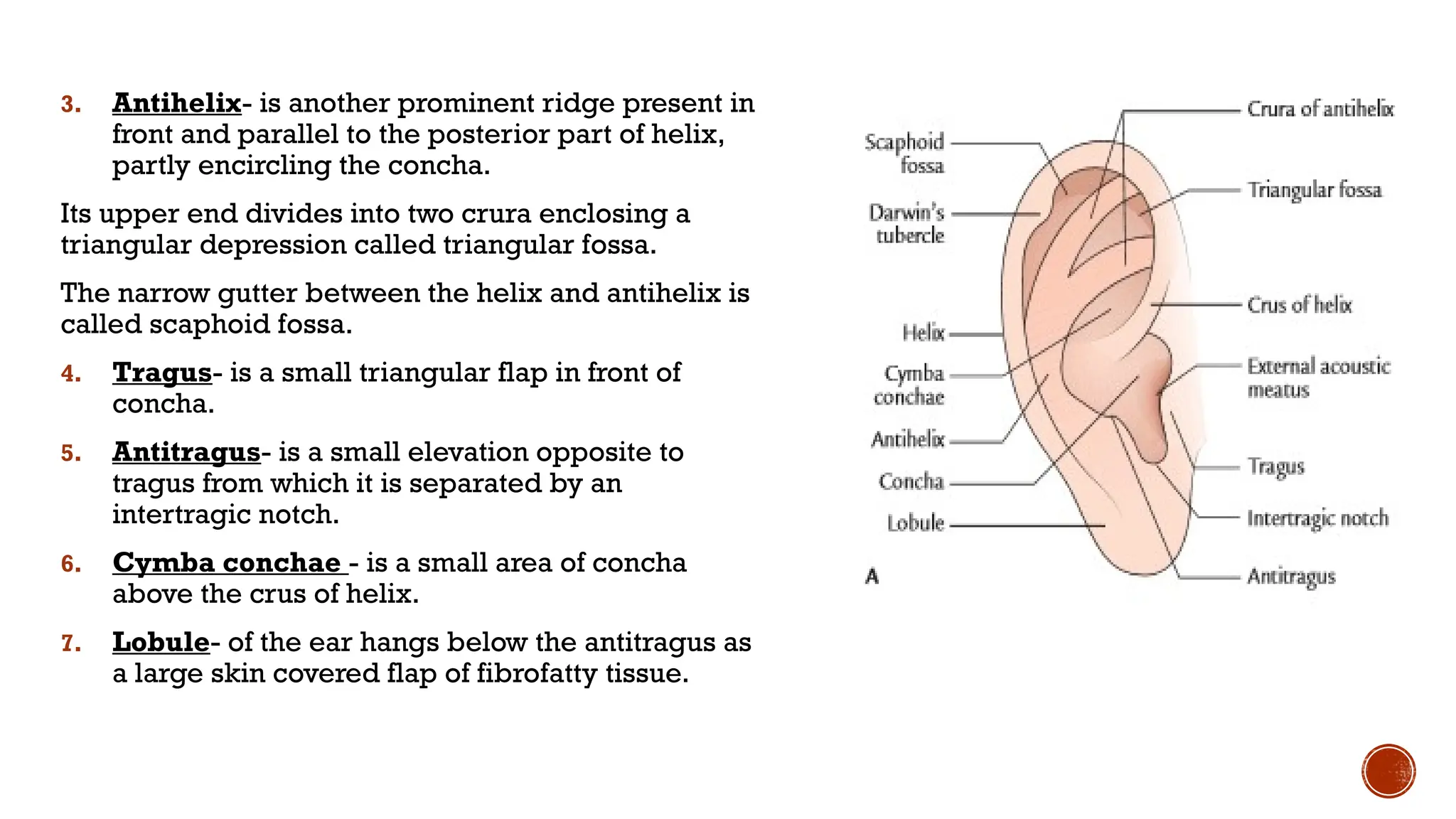 DOC-20250127-WA0007.pptx. . | PPTX