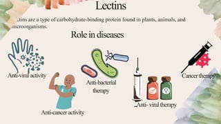 Phytochemicals : Their role in diseases. | PPTX