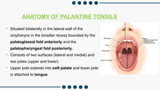 Acute tonsillitis and its several complications | PPTX