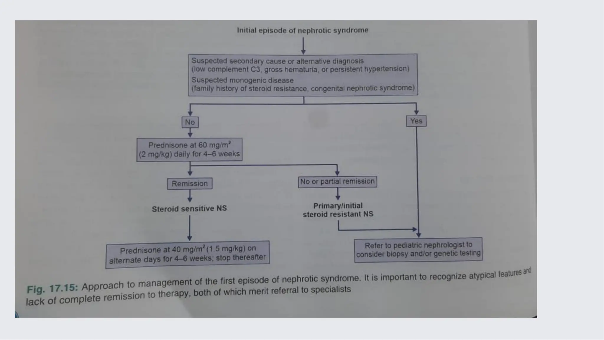 This presentation is about nephrotic syndrome its cause pathogenesis ...
