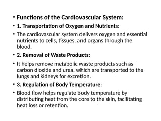 Functions of the Cardiovascular System | PPT