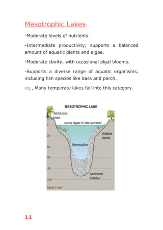 Wetland and Lake Management ~ Classification of Lakes | PDF