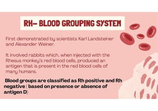Understanding Rh Incompatibility and Its Impact on Pregnancy | PPT