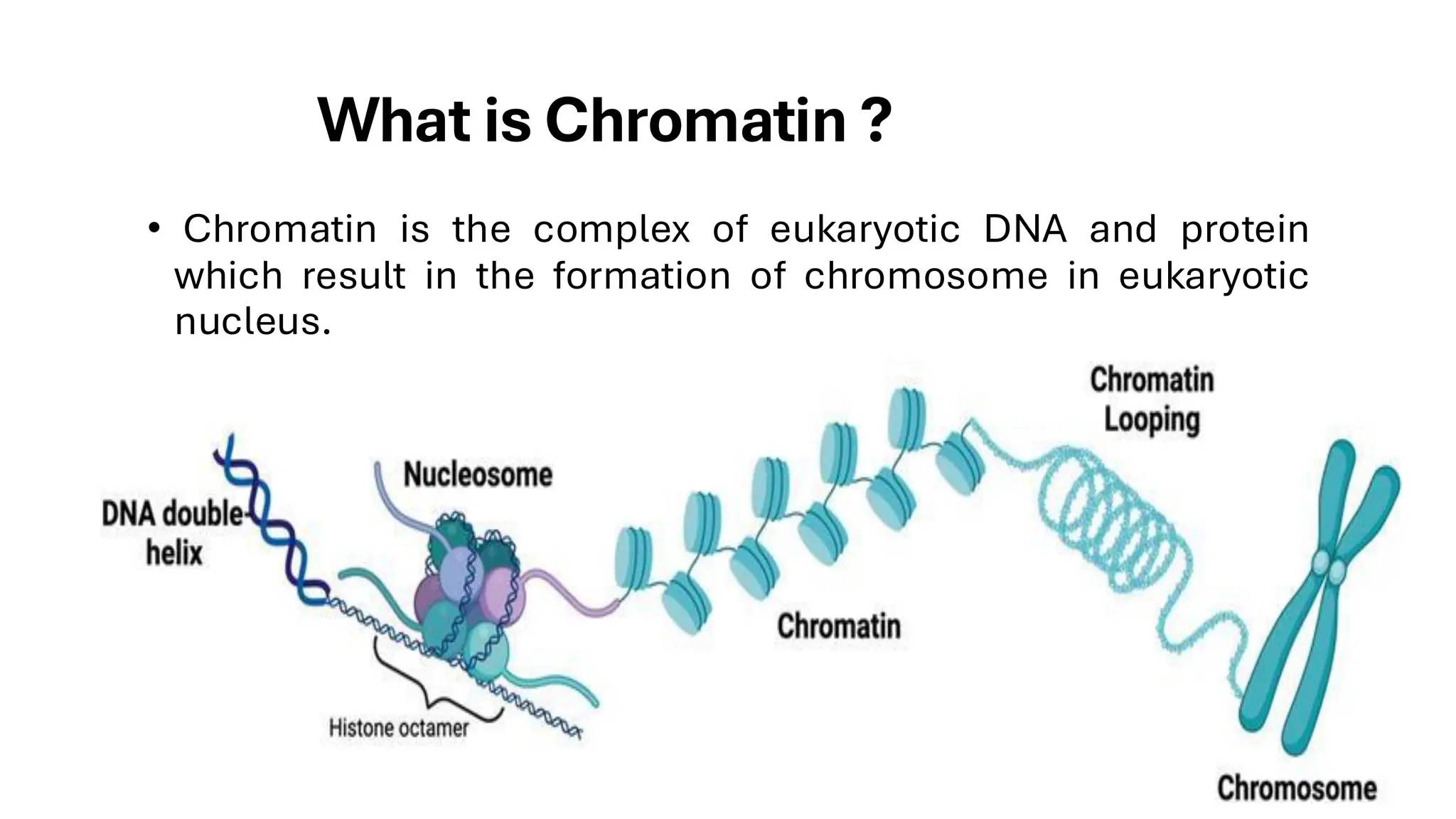 Plant Molecular Biology, Chromatin remodelling | PPT