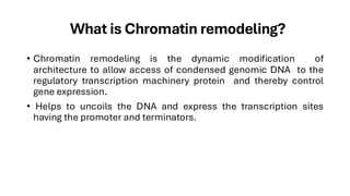 Plant Molecular Biology, Chromatin remodelling | PDF