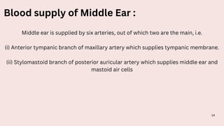 Anatomy of external ear and middle ear 1 | PDF