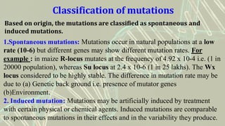 DOC-20250430-WA0002. (1).pdfudieiiejejdjd | PDF