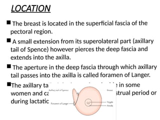 Breast functional anatomy and physiology..pptx