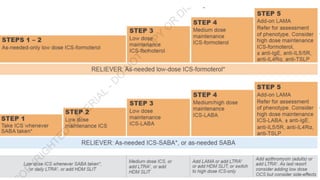 Update Management of Bronchial Asthma according to GINA Guideline (2025 ...