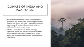 SST presentation India and Java forestyi | PPTX