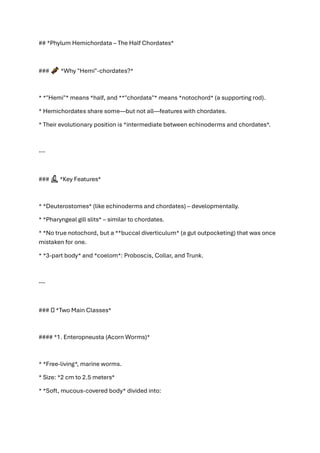 Hemichordata, characteristics , classes and ecological roles | PDF