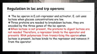 Regulation of gene expression in prokaryotes.pptx