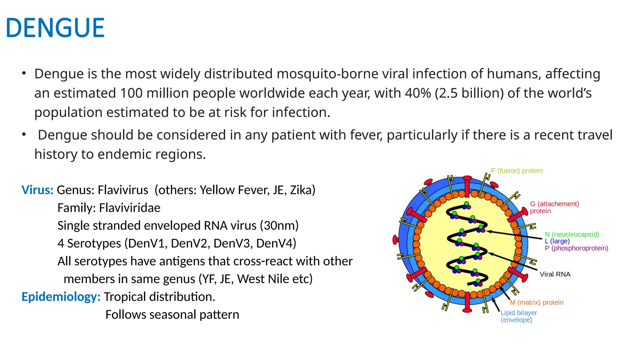 Severe fever with thrombocytopenia syndrome (SFTS) is an acute febrile ...