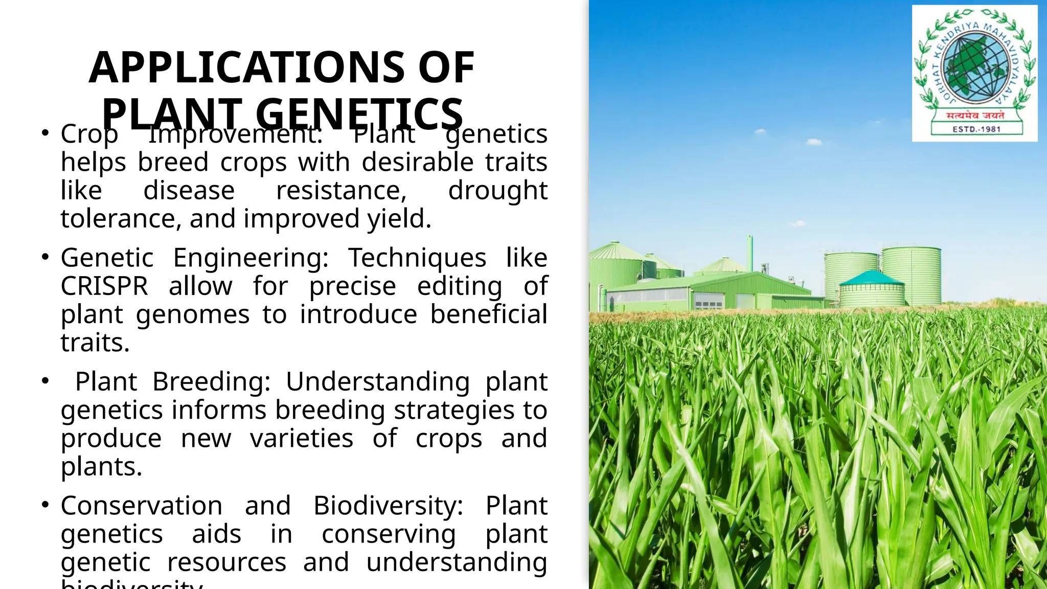 plant Genetics unlocking the secret of p | PPTX